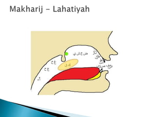 Presentation1 on Makharij | PPTX | Ear, Nose and Throat Conditions ...