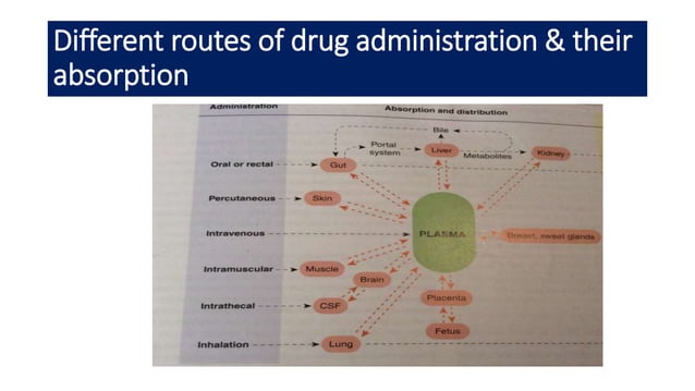 First order absorption model | PPTX