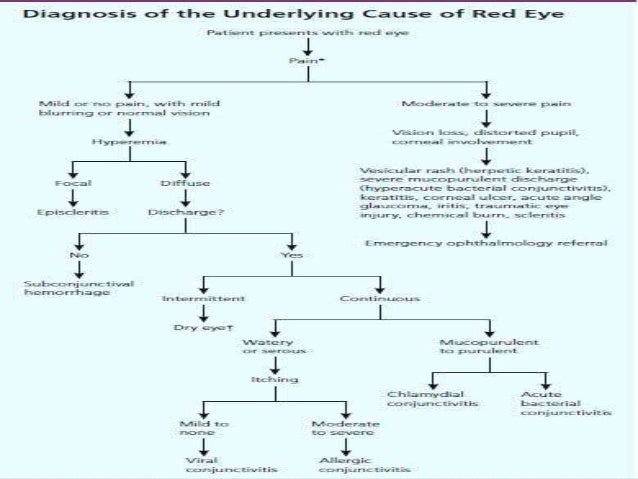 CAUSES AND MANAGEMENT OF RED EYES
