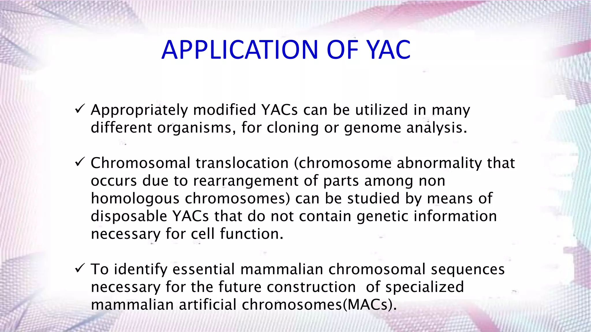 bacterial artificial chromosome & yeast artificial chromosome | PPT bacterial artificial chromosome & yeast artificial chromosome | PPT