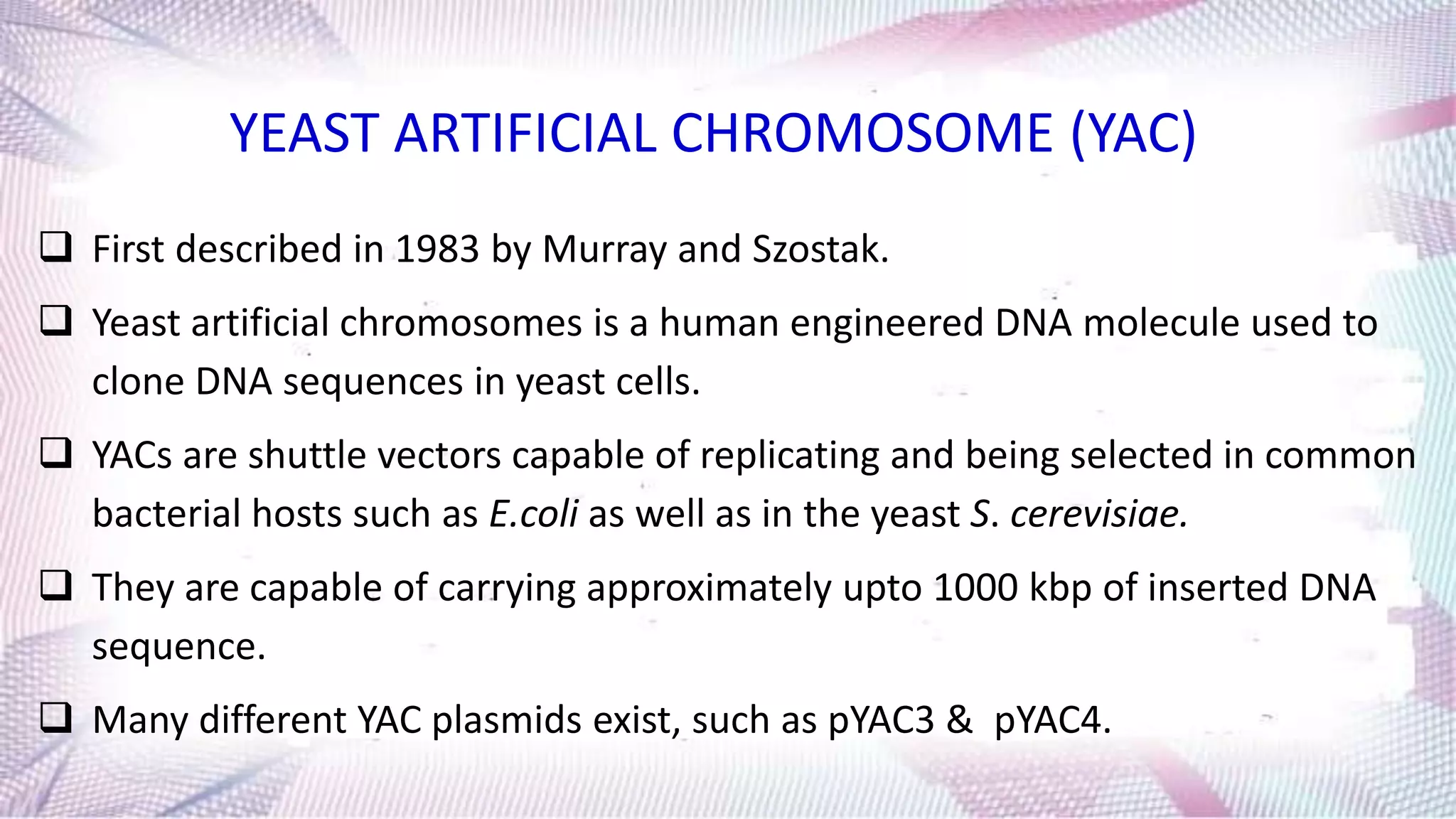 bacterial artificial chromosome & yeast artificial chromosome | PPTX