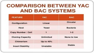 bacterial artificial chromosome & yeast artificial chromosome | PPTX