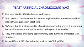 bacterial artificial chromosome & yeast artificial chromosome | PPTX