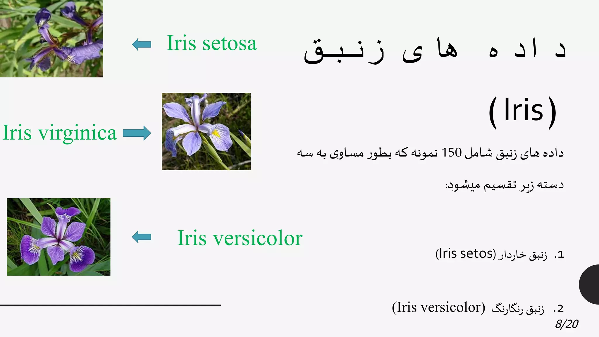 neural network iris flower | PPT