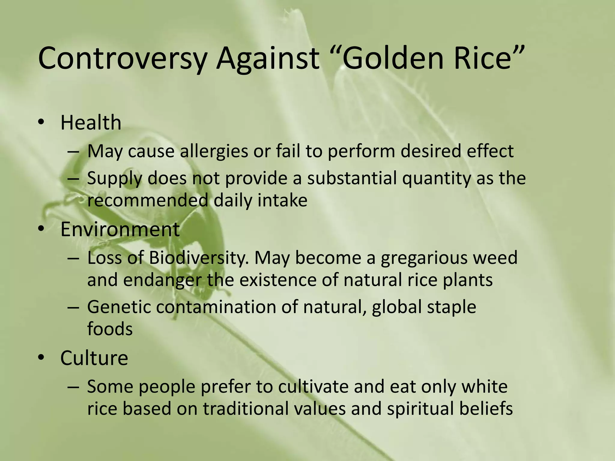 GOLDEN RICE; The genetically modified crop in India | PPTX