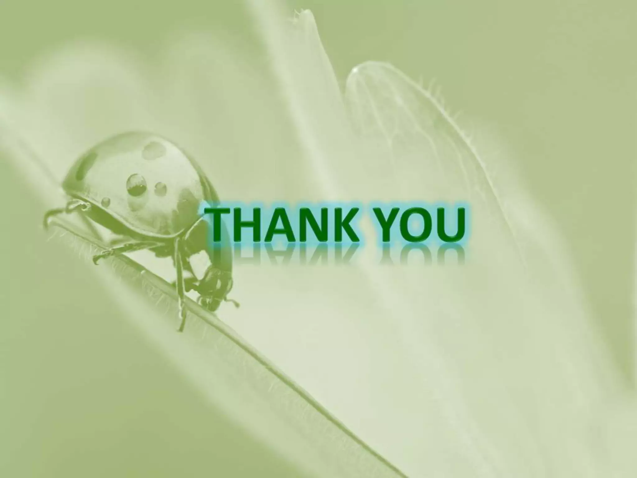 GOLDEN RICE; The genetically modified crop in India | PPTX