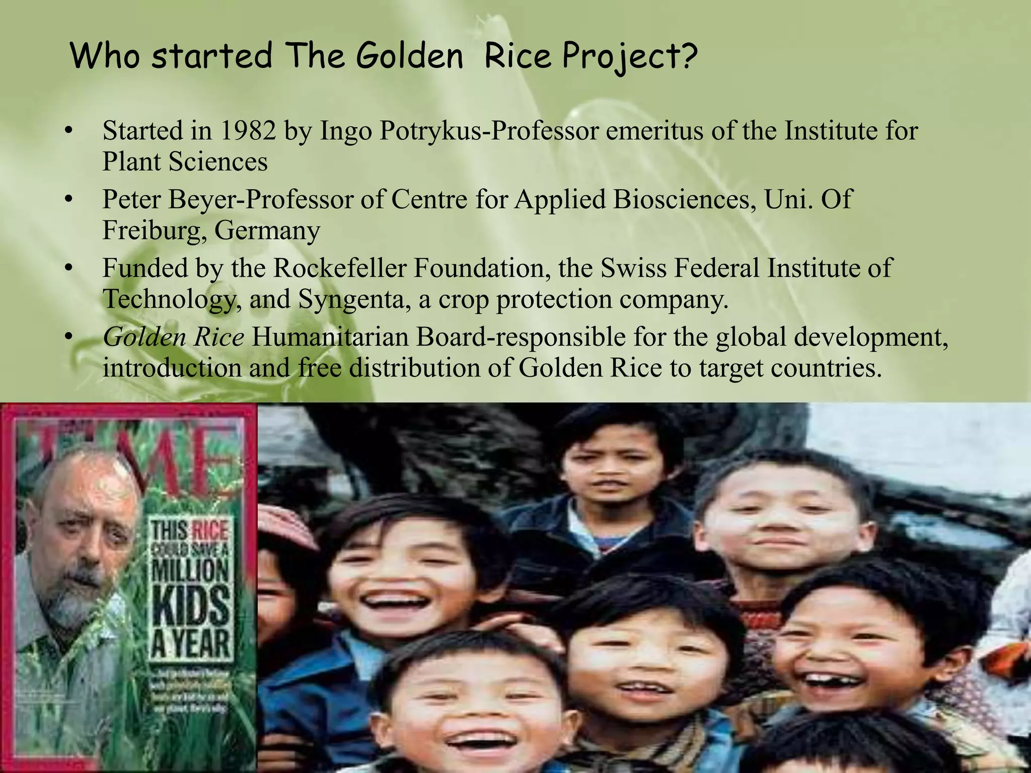 GOLDEN RICE; The genetically modified crop in India | PPTX