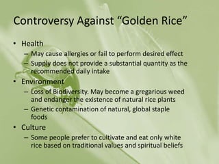 GOLDEN RICE; The genetically modified crop in India | PPTX