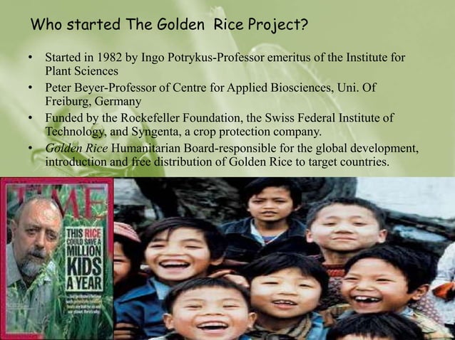 GOLDEN RICE; The genetically modified crop in India | PPTX