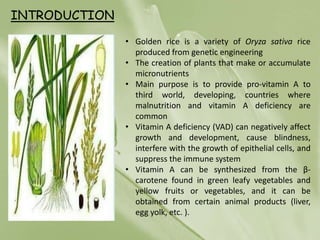 Golden Rice Genetic Engineering