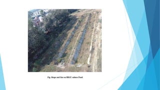 Pond Construction Management And Preparation | PPTX