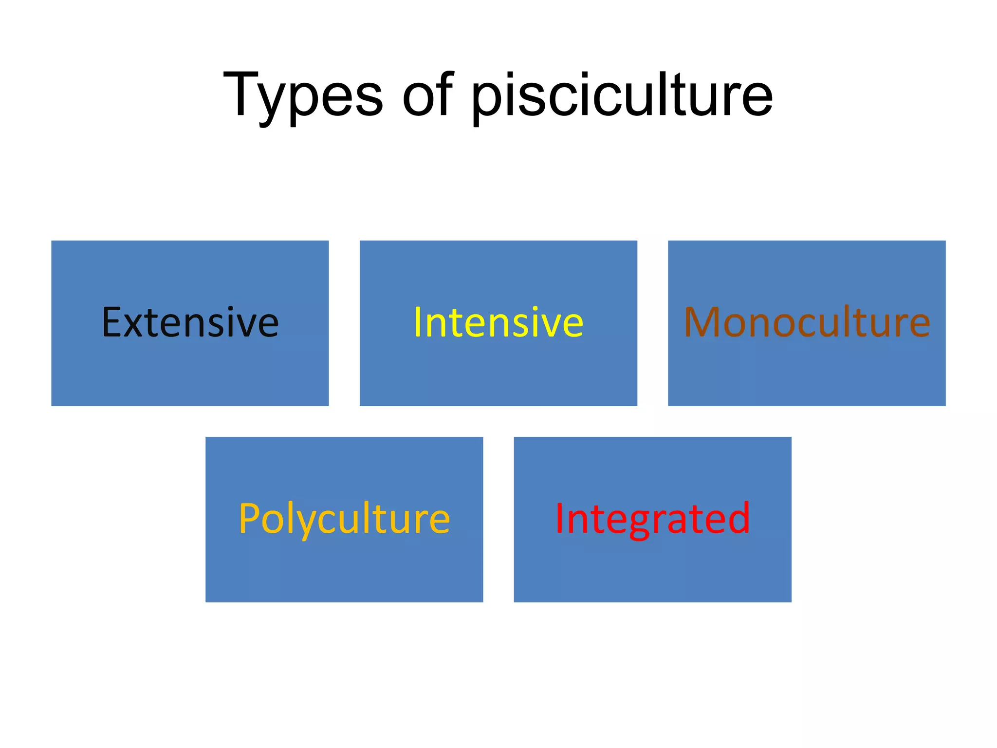 Pisciculture & Apiculture | PPTX