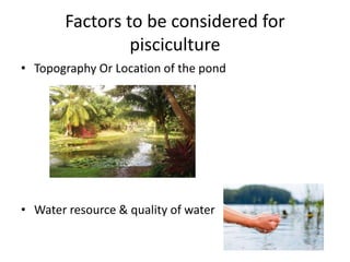 Pisciculture & Apiculture | PPTX