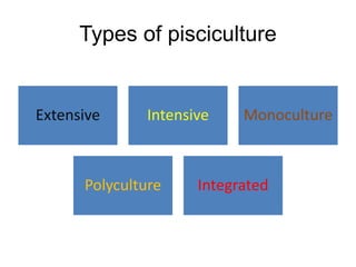 Pisciculture & Apiculture | PPTX