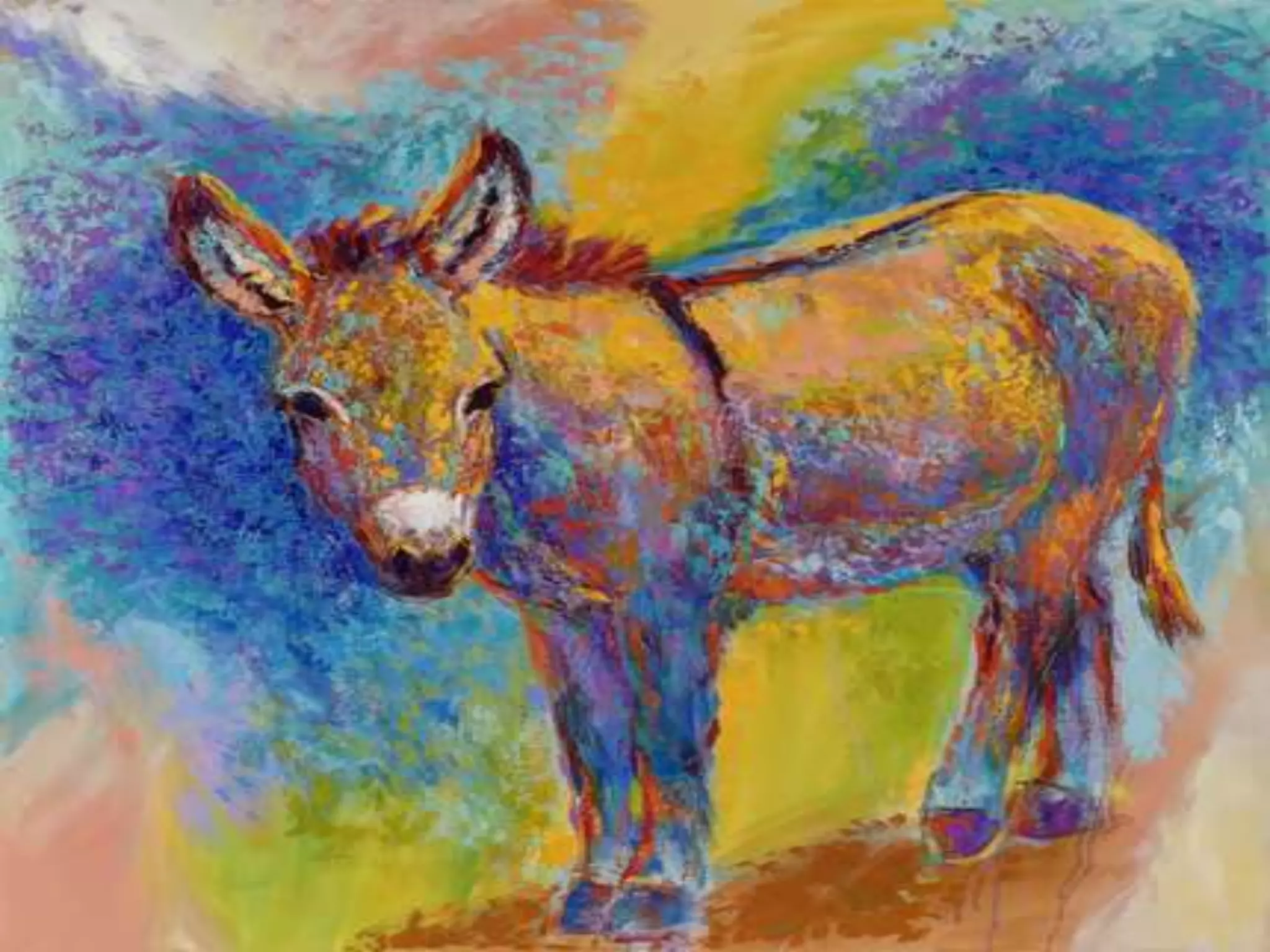 Barbara Meikle Fine Art Videos Artist and Artists Biography | PPTX