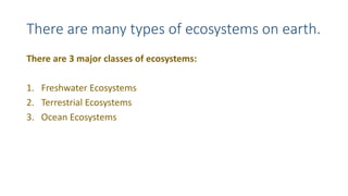 Types of Ecosystem | PPTX