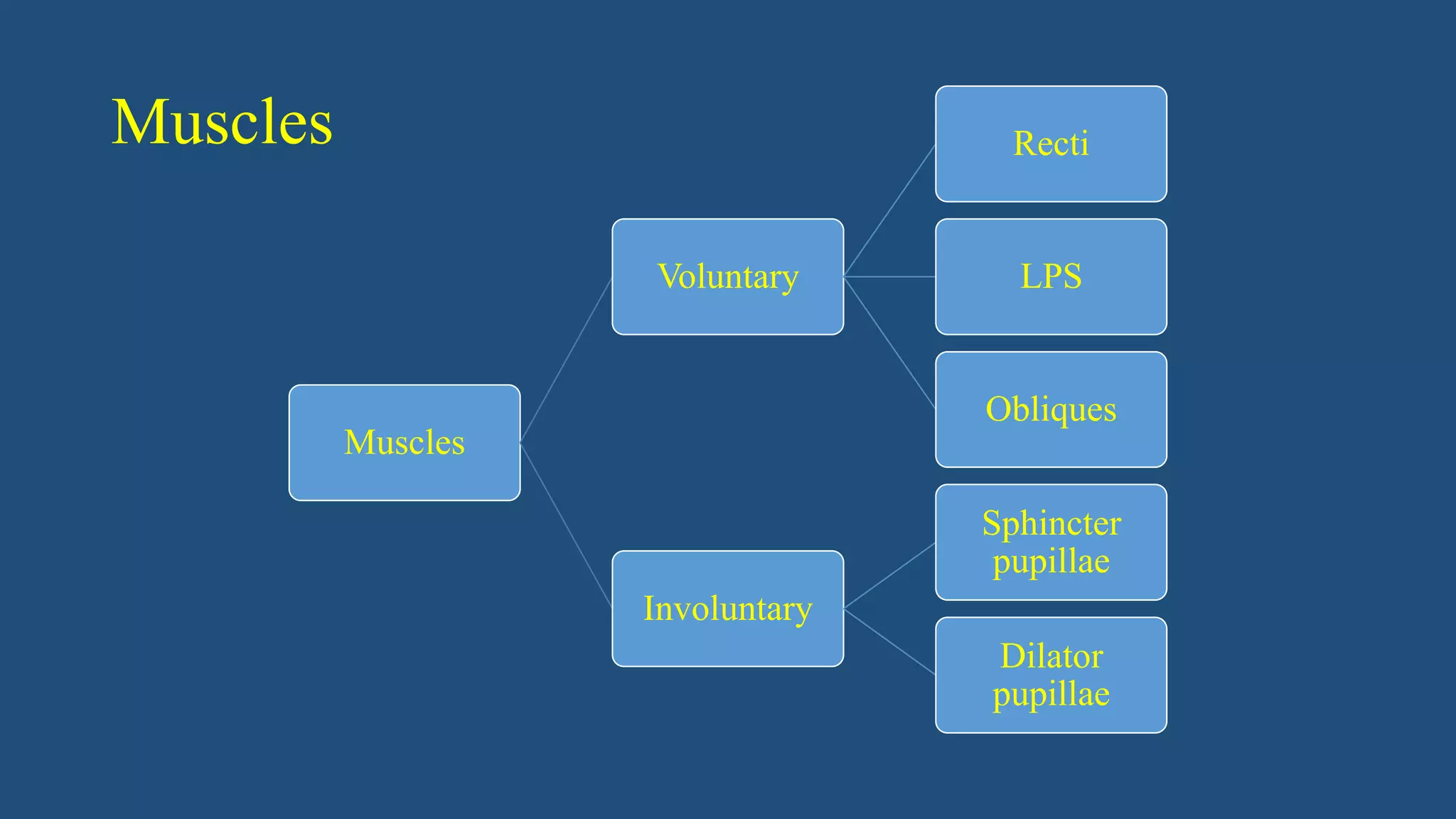 Anatomy of eye and its clinical relevance in Squint | PPTX