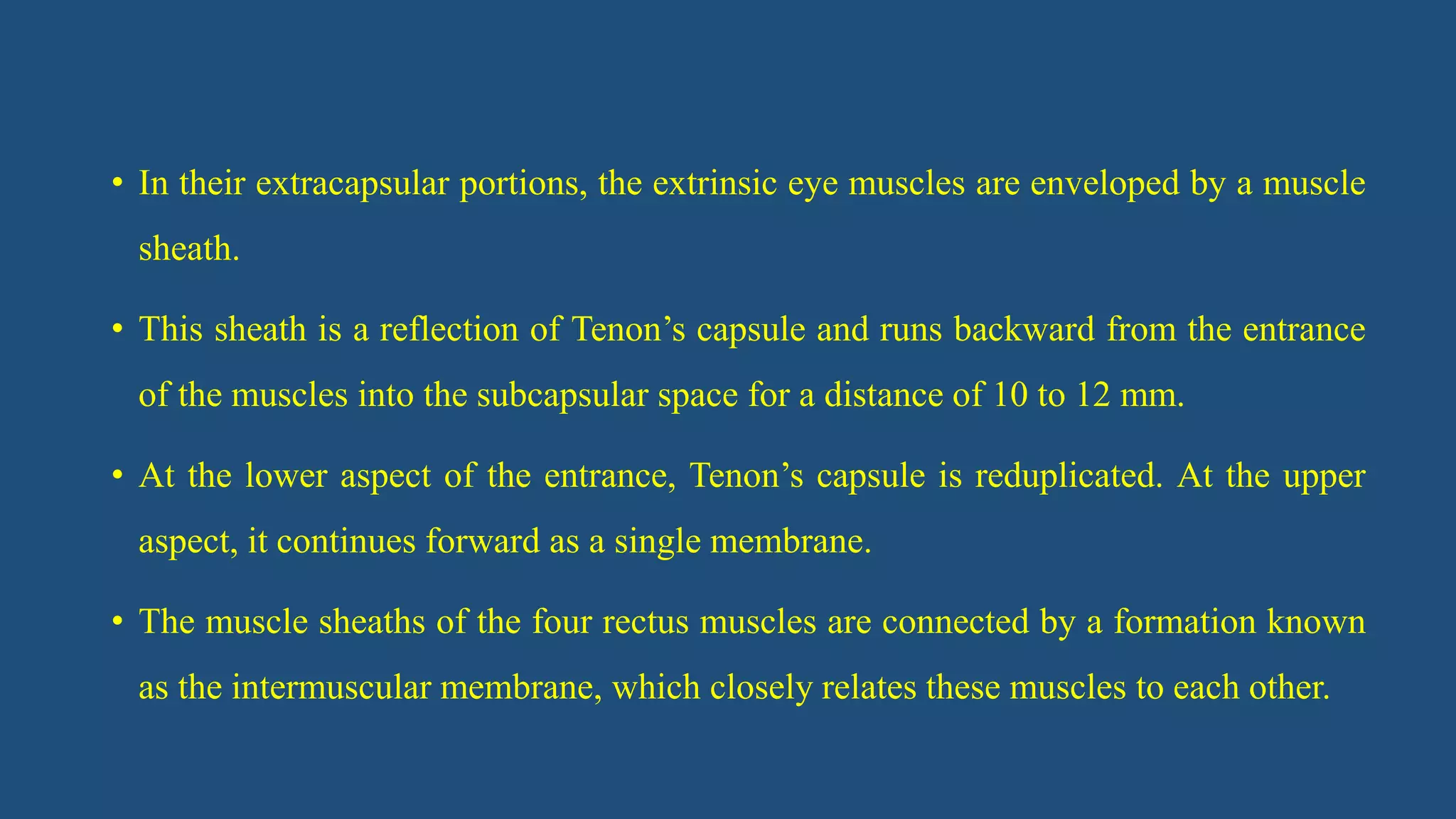 Anatomy of eye and its clinical relevance in Squint | PPTX