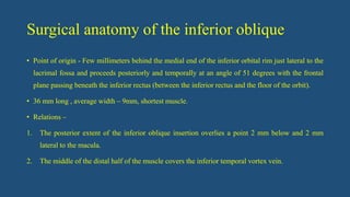 Anatomy of eye and its clinical relevance in Squint | PPT