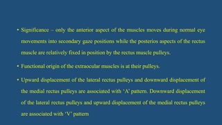 Anatomy of eye and its clinical relevance in Squint | PPTX