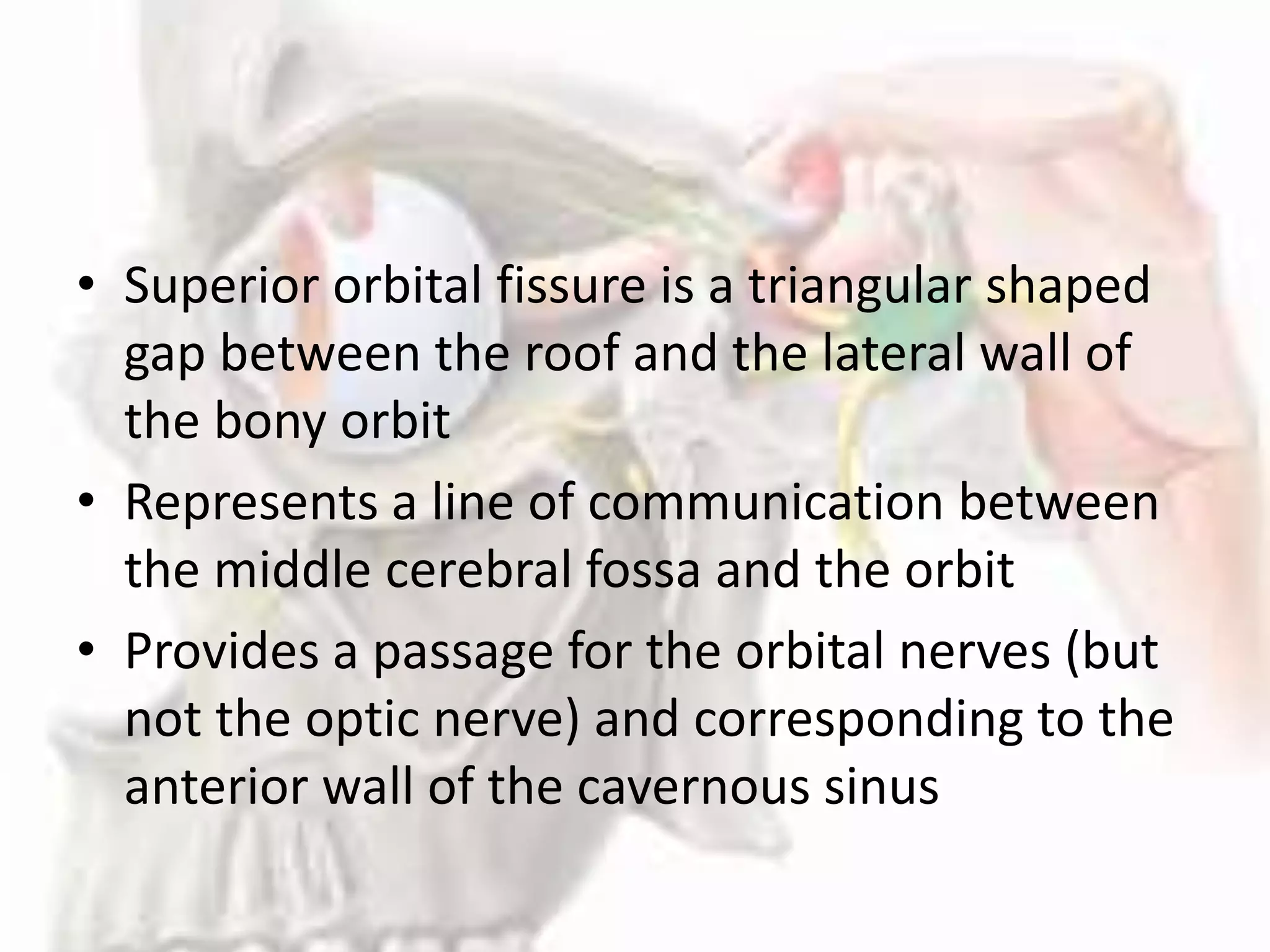 Surgical Anatomy of Orbit | PPTX