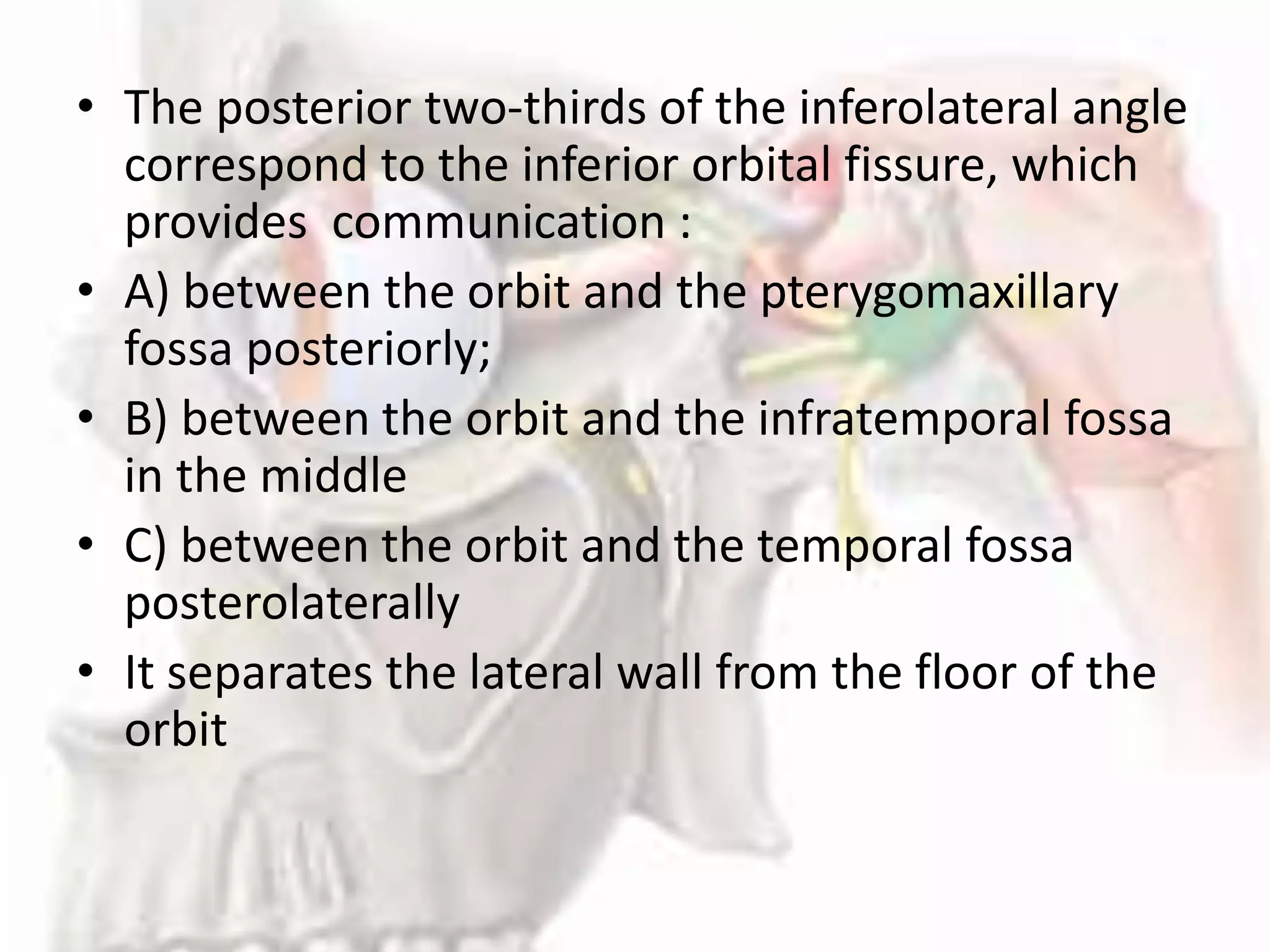 Surgical Anatomy of Orbit | PPTX