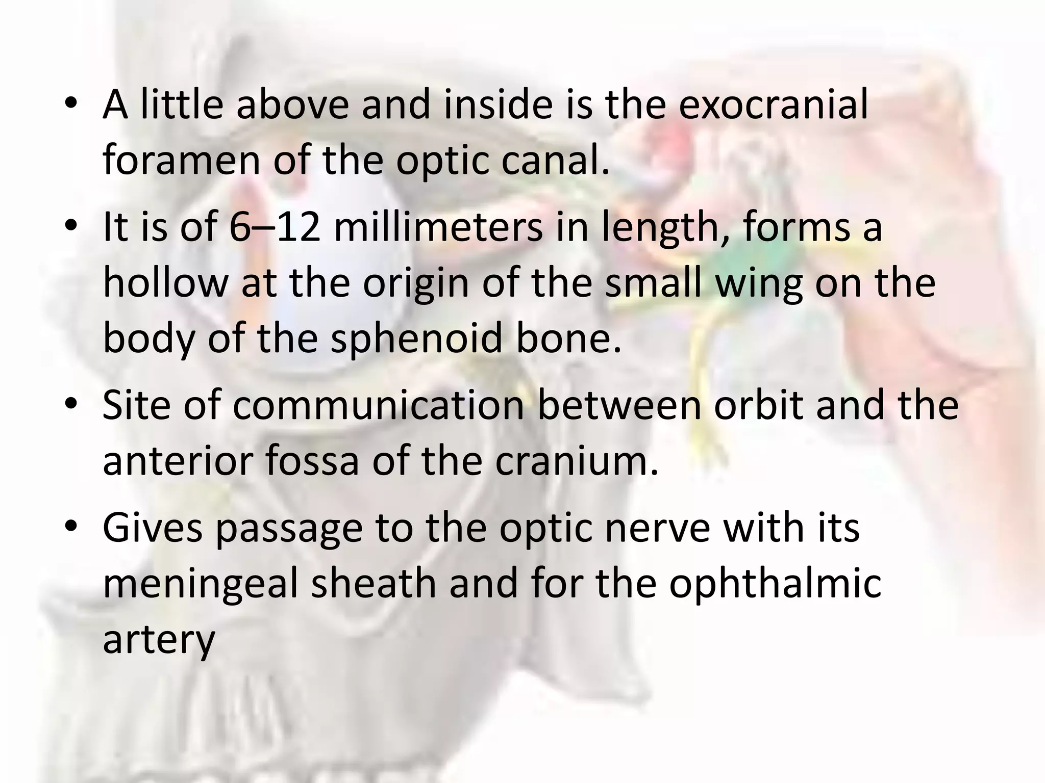 Surgical Anatomy of Orbit | PPTX