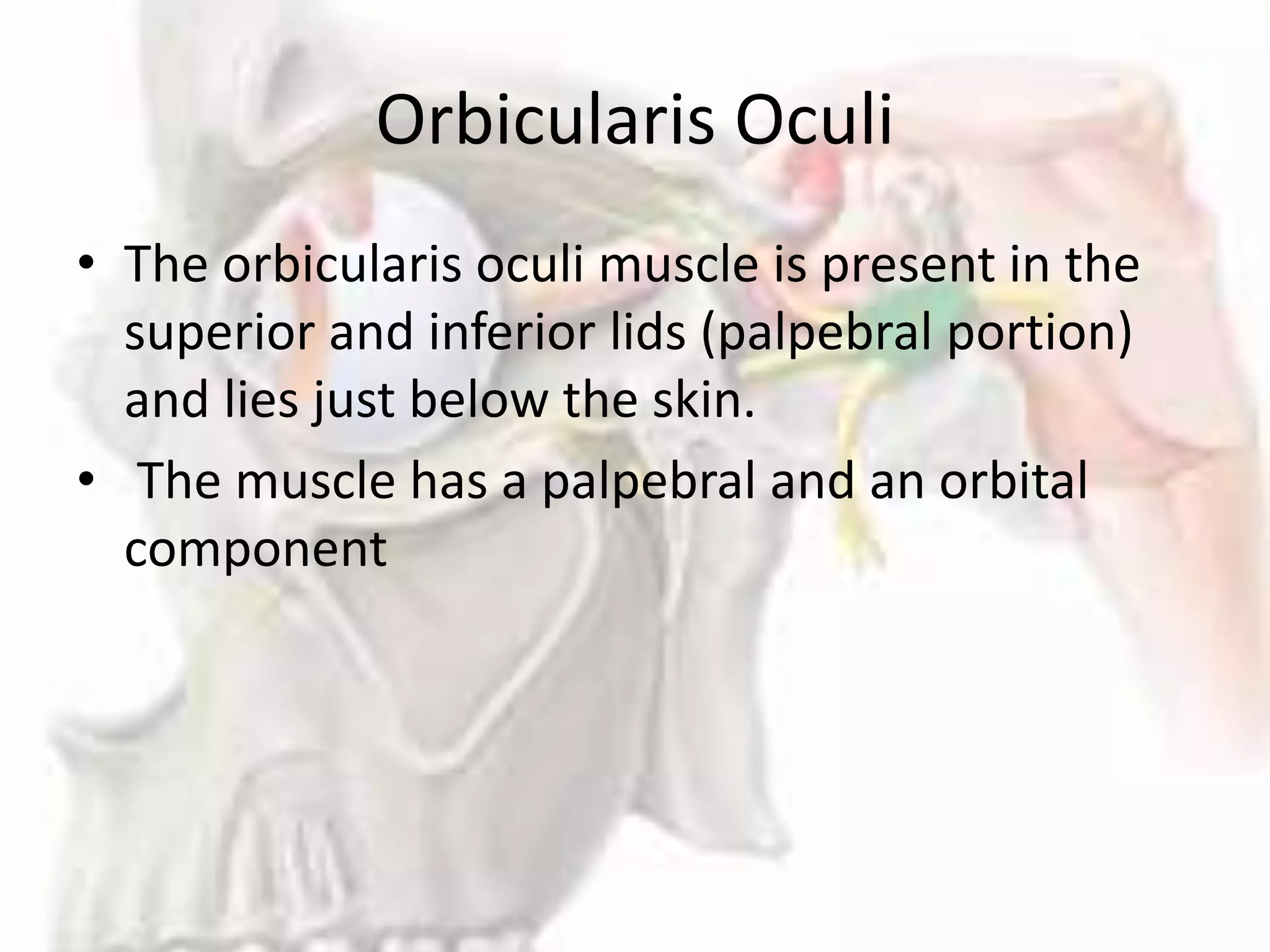Surgical Anatomy of Orbit | PPTX