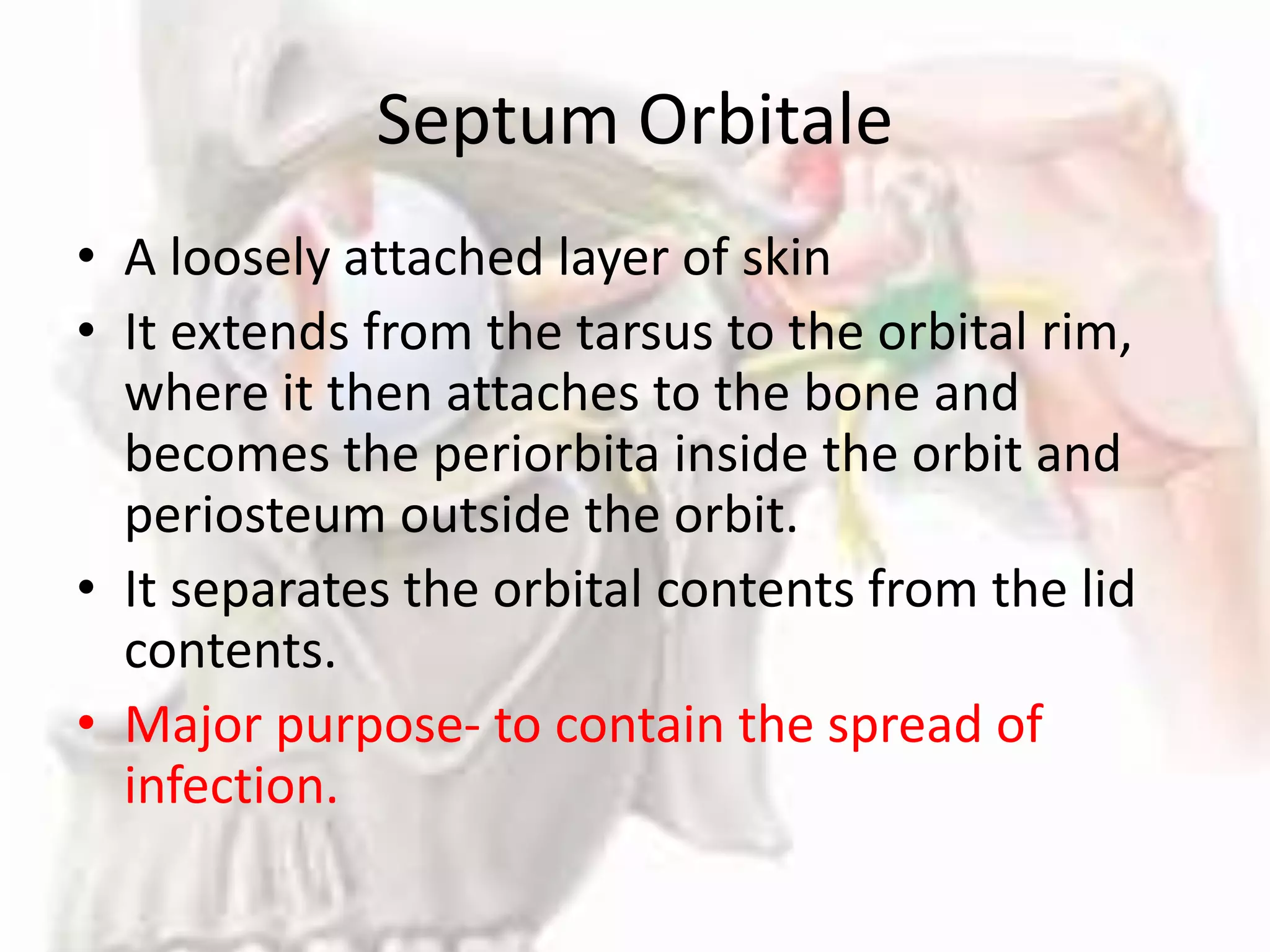 Surgical Anatomy of Orbit | PPTX