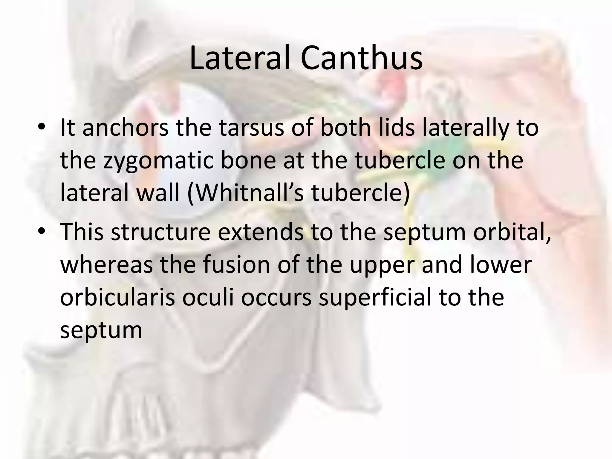Surgical Anatomy of Orbit | PPTX