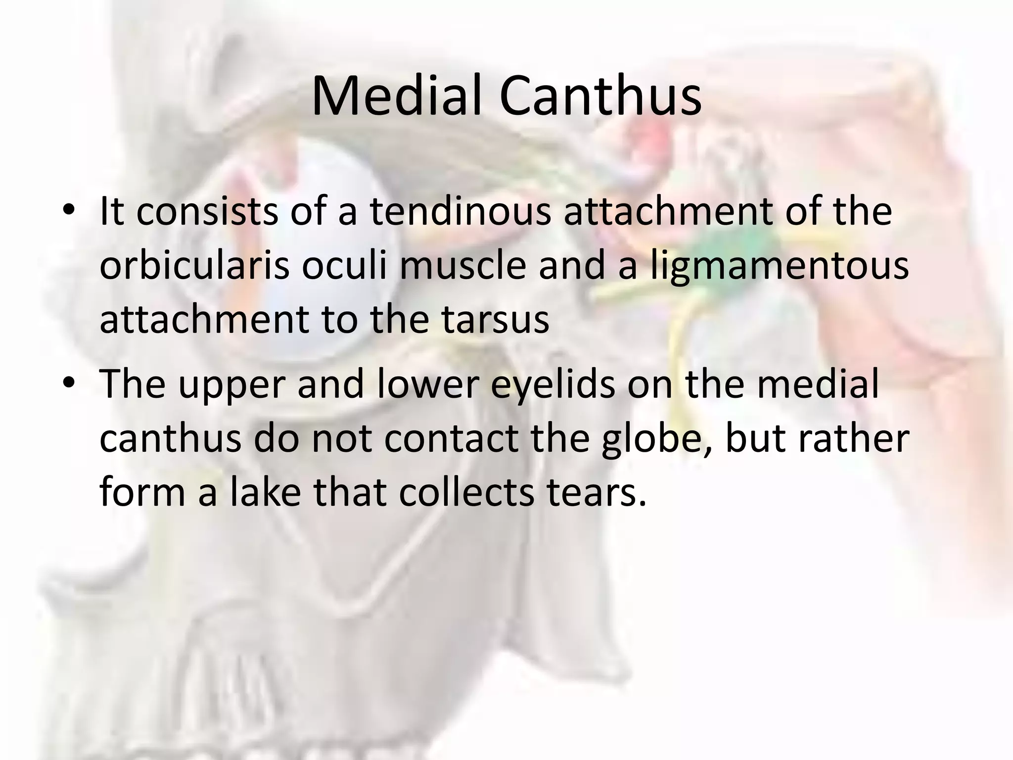 Surgical Anatomy of Orbit | PPTX