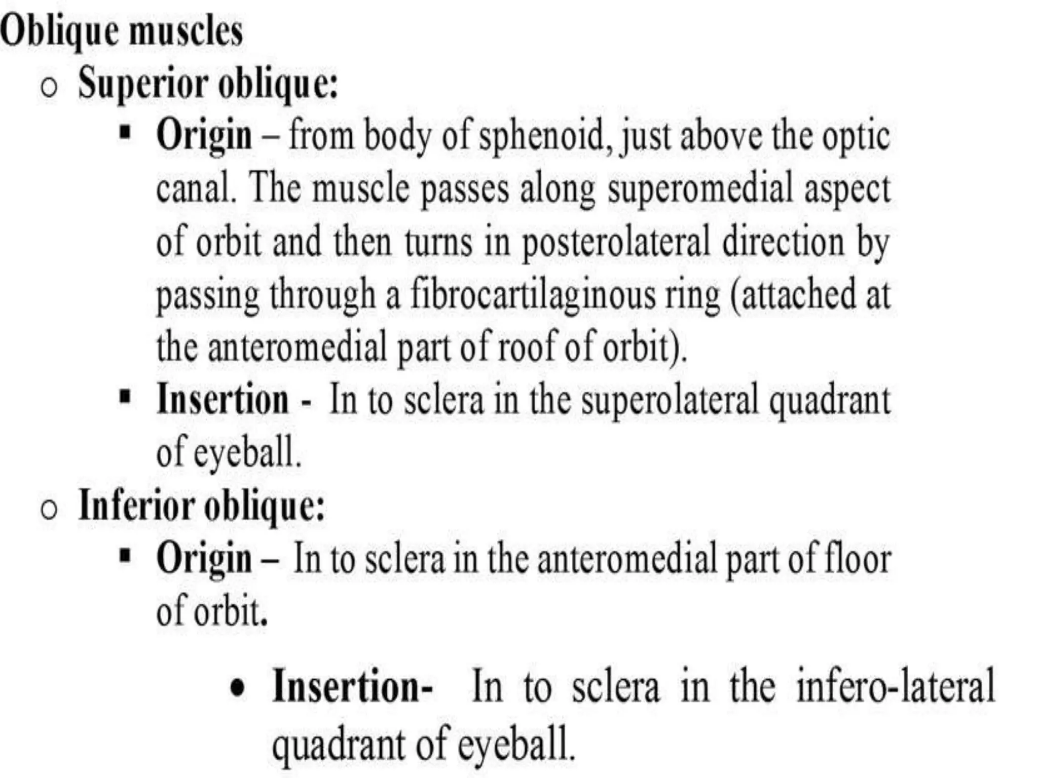 Surgical Anatomy of Orbit | PPTX