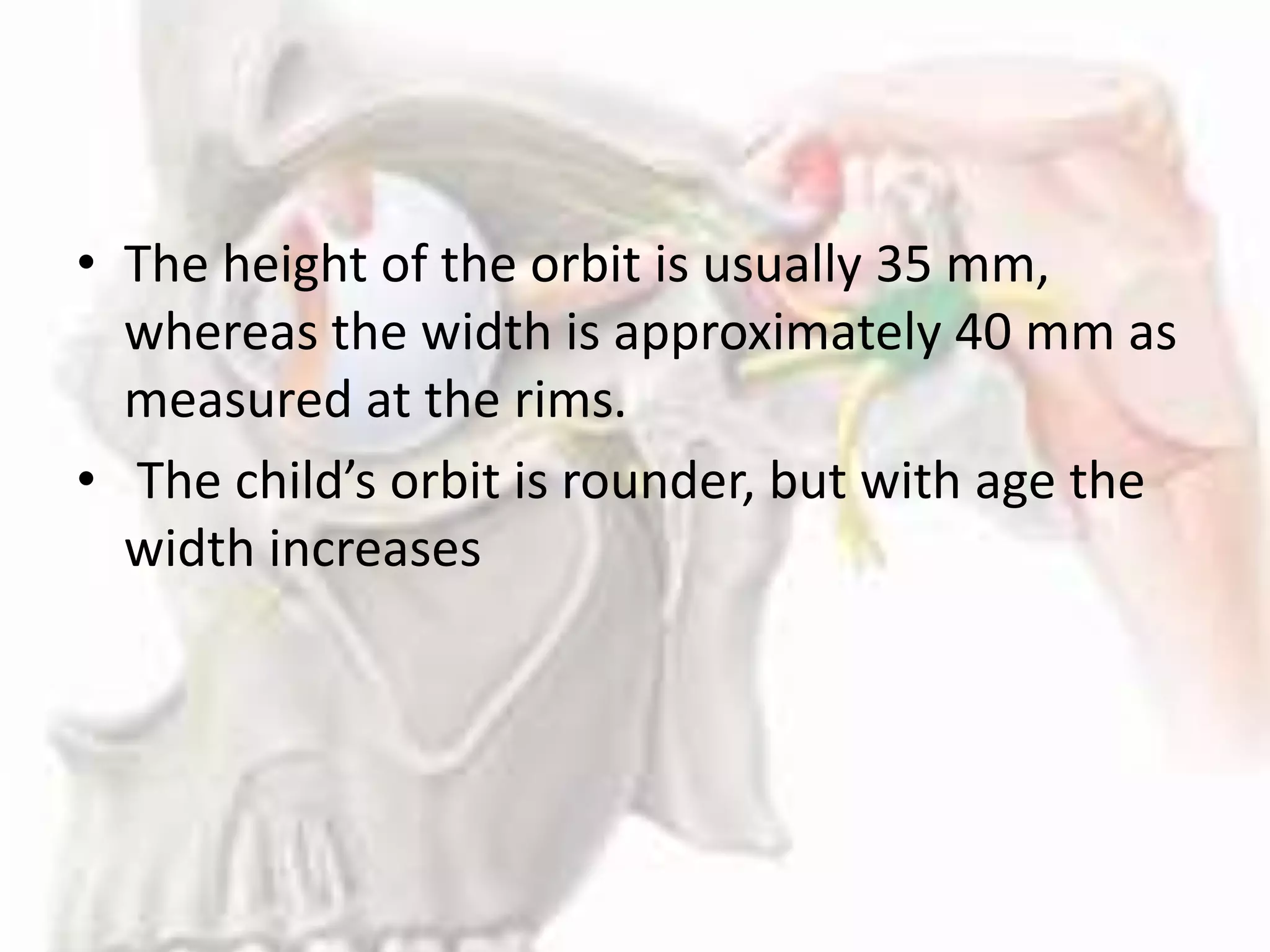 Surgical Anatomy of Orbit | PPTX