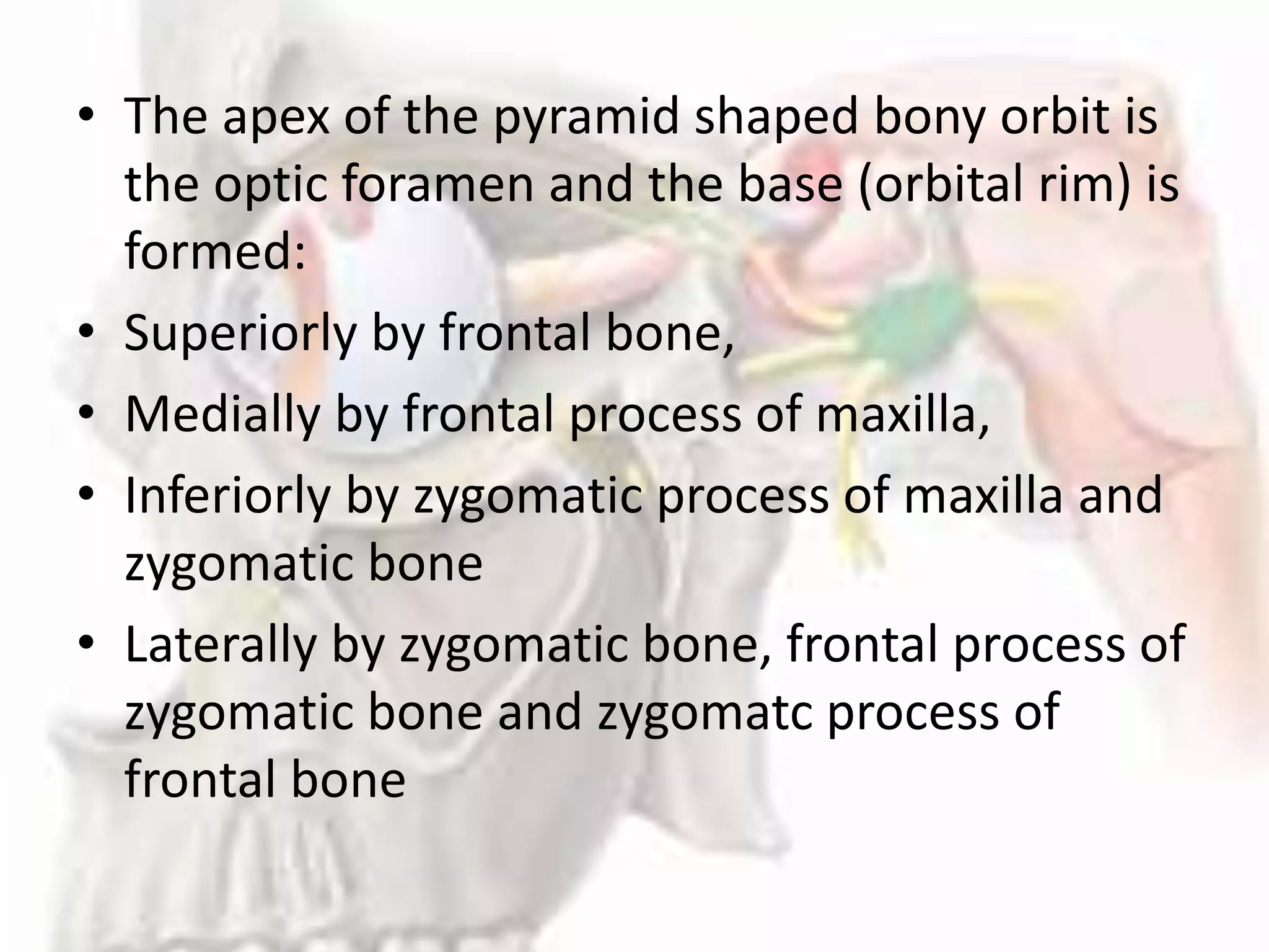 Surgical Anatomy of Orbit | PPTX