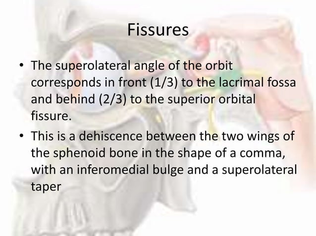 Surgical Anatomy of Orbit | PPTX