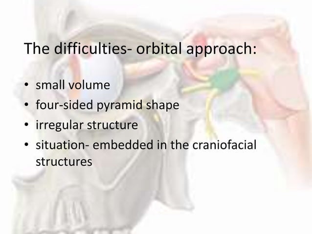 Surgical Anatomy of Orbit | PPTX