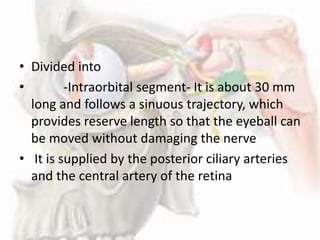 Surgical Anatomy of Orbit | PPTX