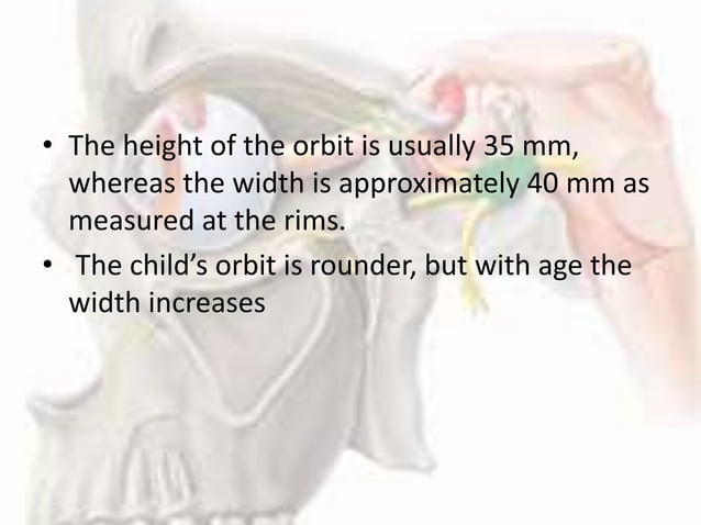 Surgical Anatomy of Orbit | PPTX