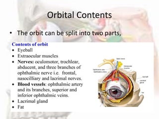 Orbital Contents