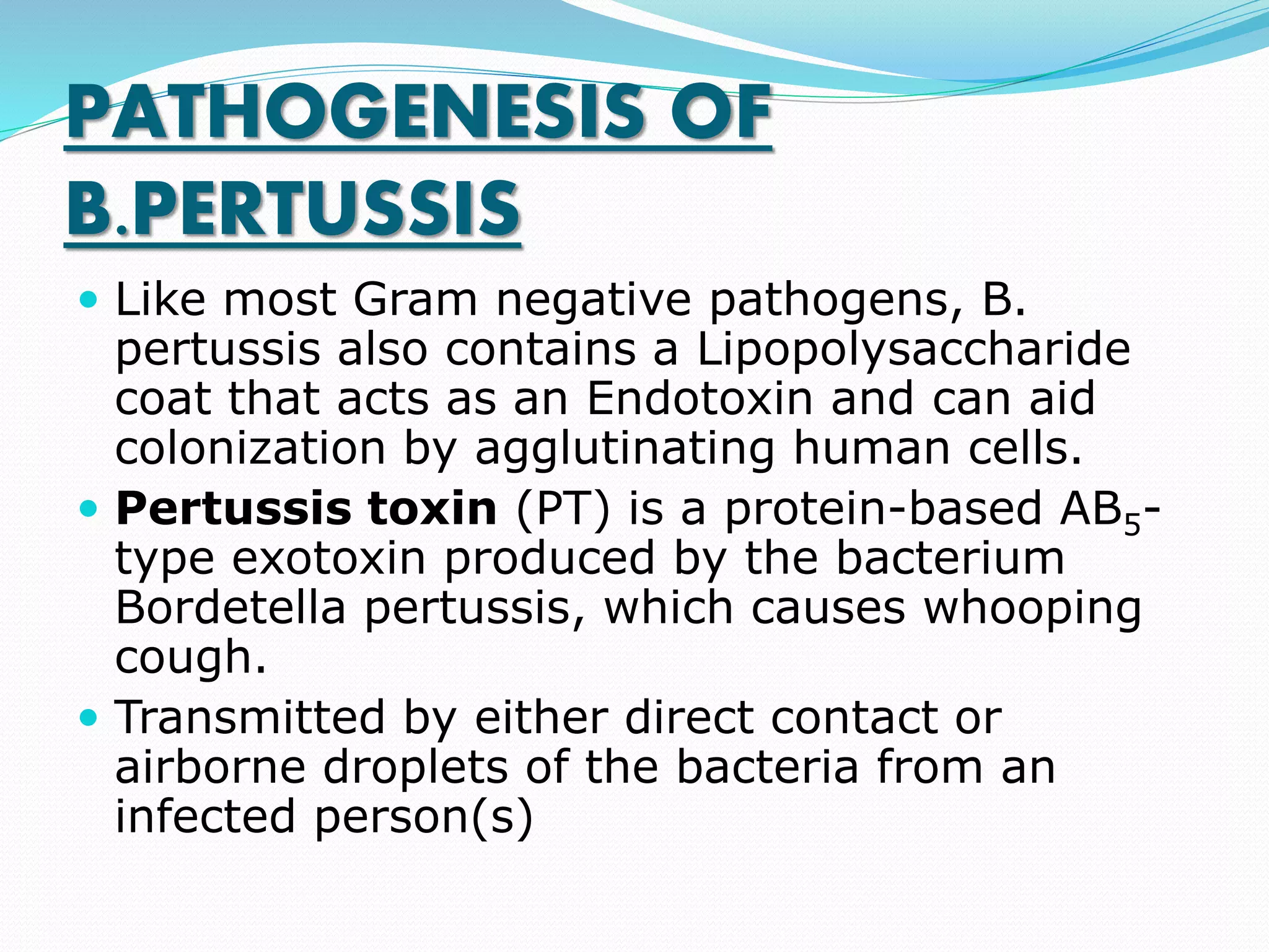 BORDETELLA PERTUSSIS | PPTX