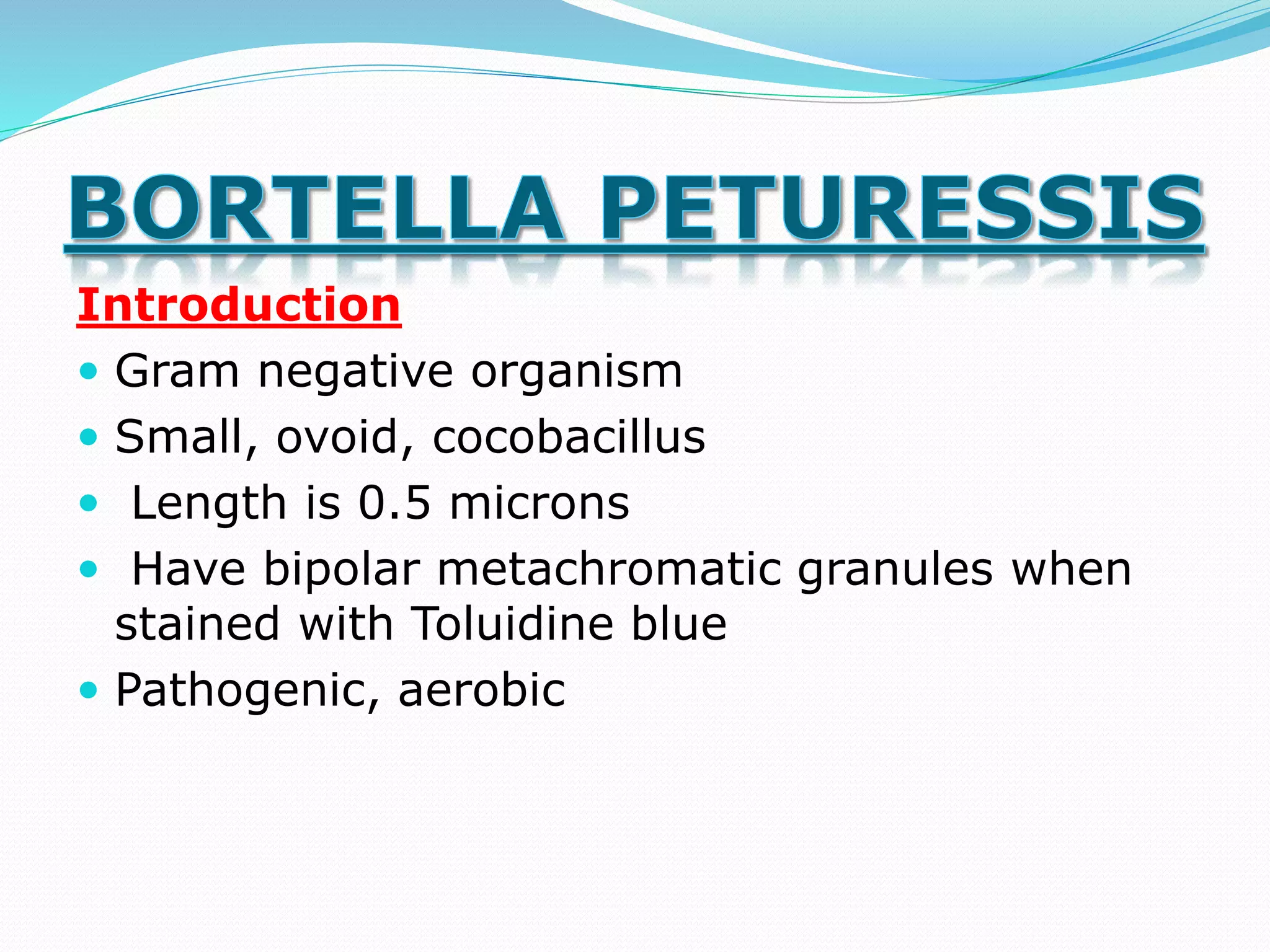 BORDETELLA PERTUSSIS | PPTX