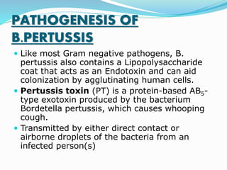 BORDETELLA PERTUSSIS | PPT