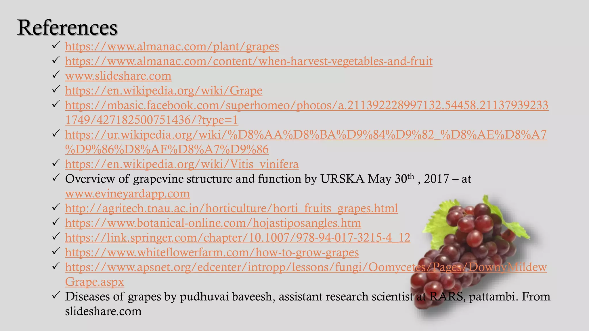 Grapes | PDF