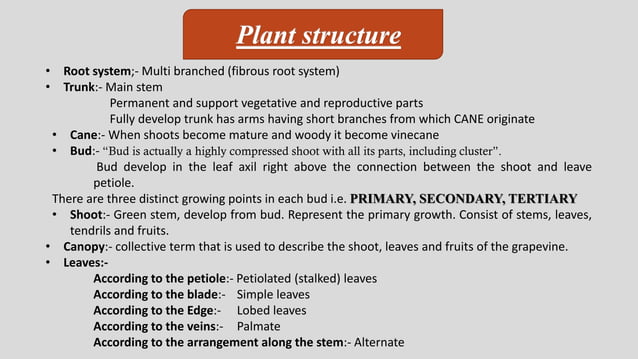 Grapes | PDF | Gardening | Home & Garden