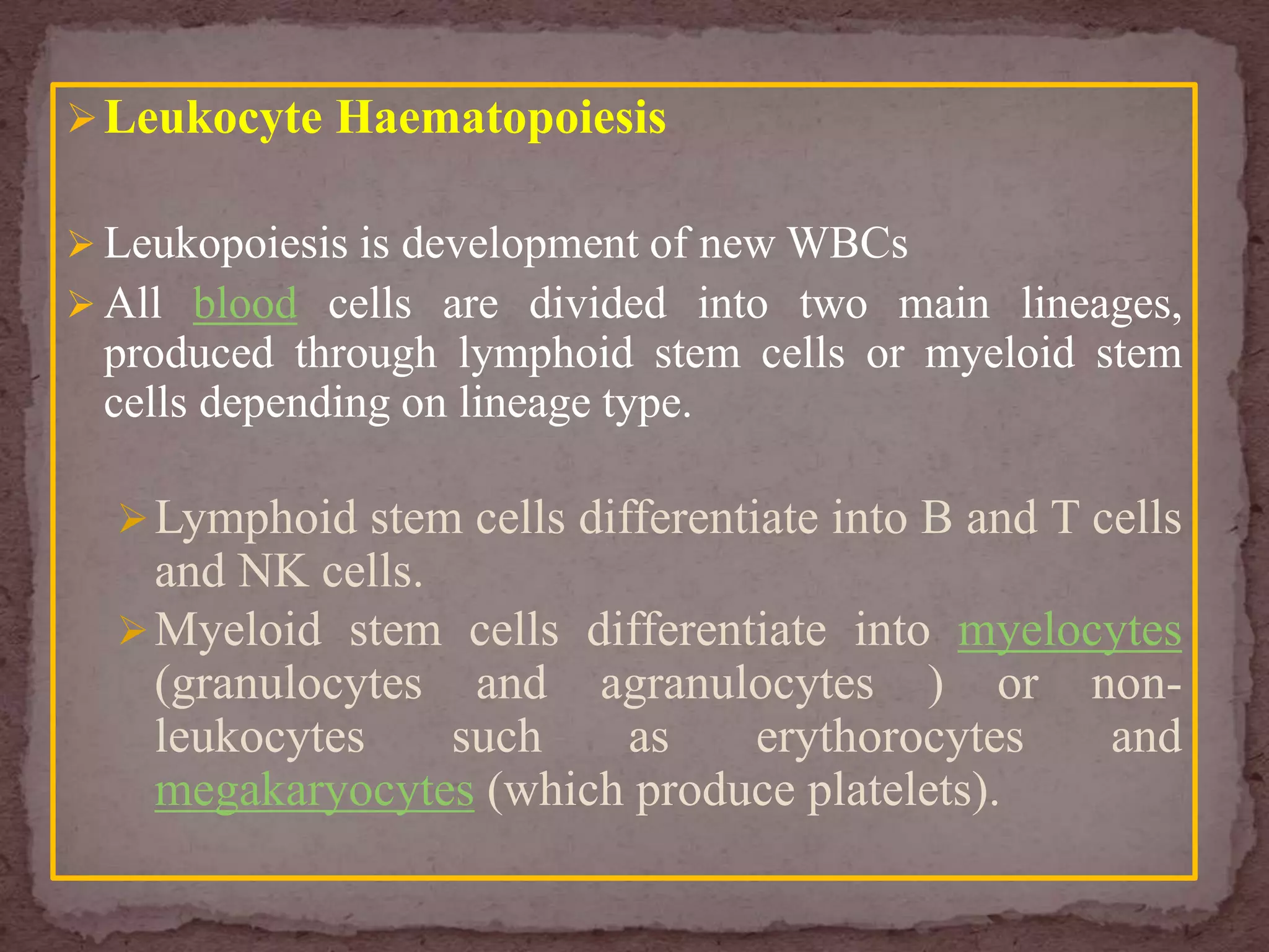 white blood cell | PPTX