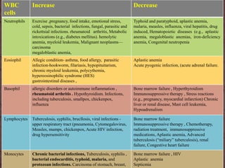 white blood cell | PPT