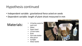 Barley experiment | PPTX