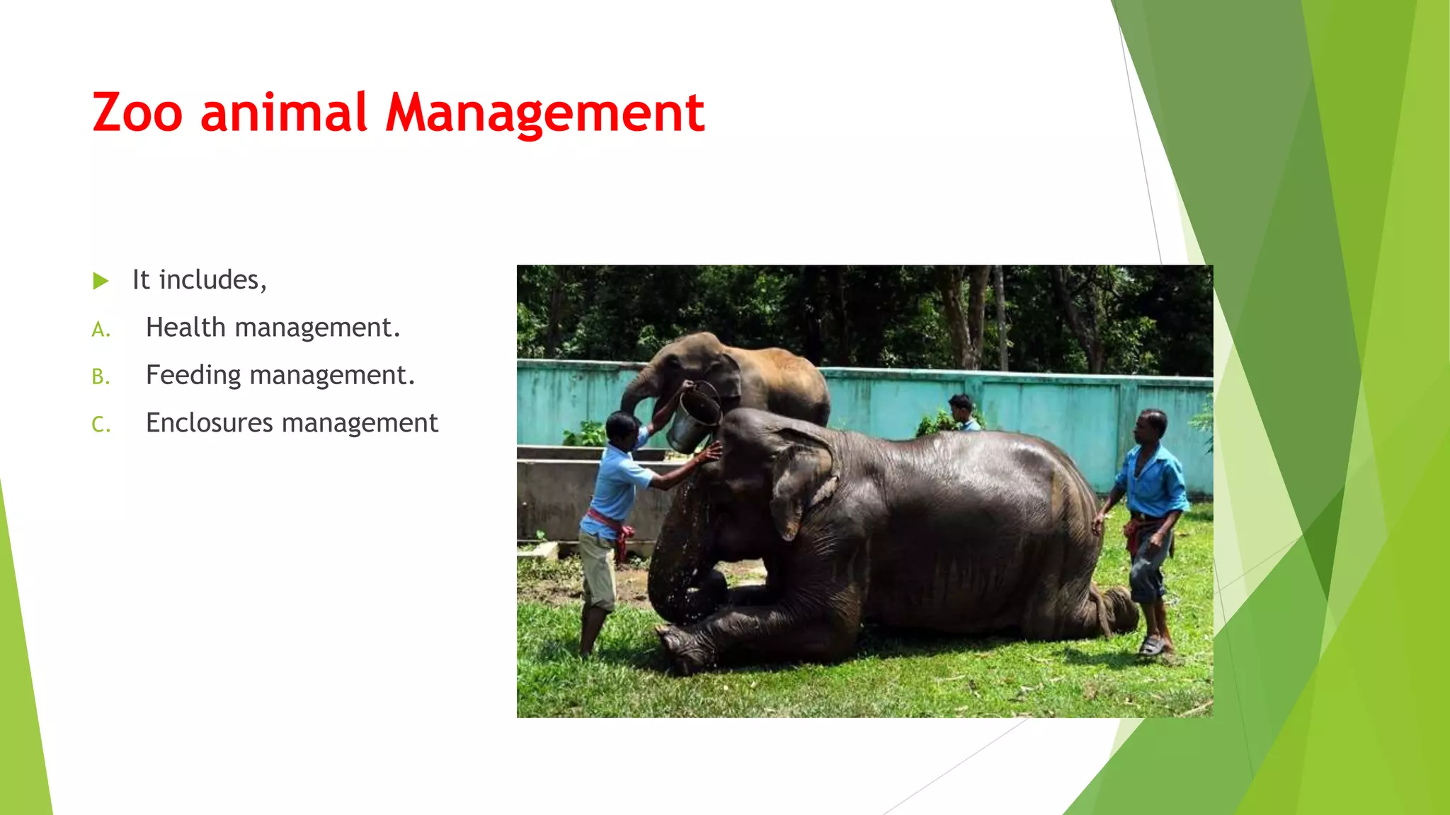 Zoo Animals And Their Feeding And Management | PPTX