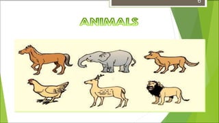 Zoo Animals And Their Feeding And Management | PPTX