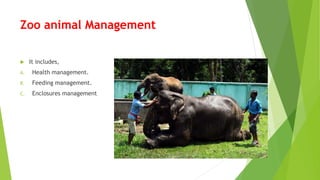 Zoo Animals And Their Feeding And Management | PPTX